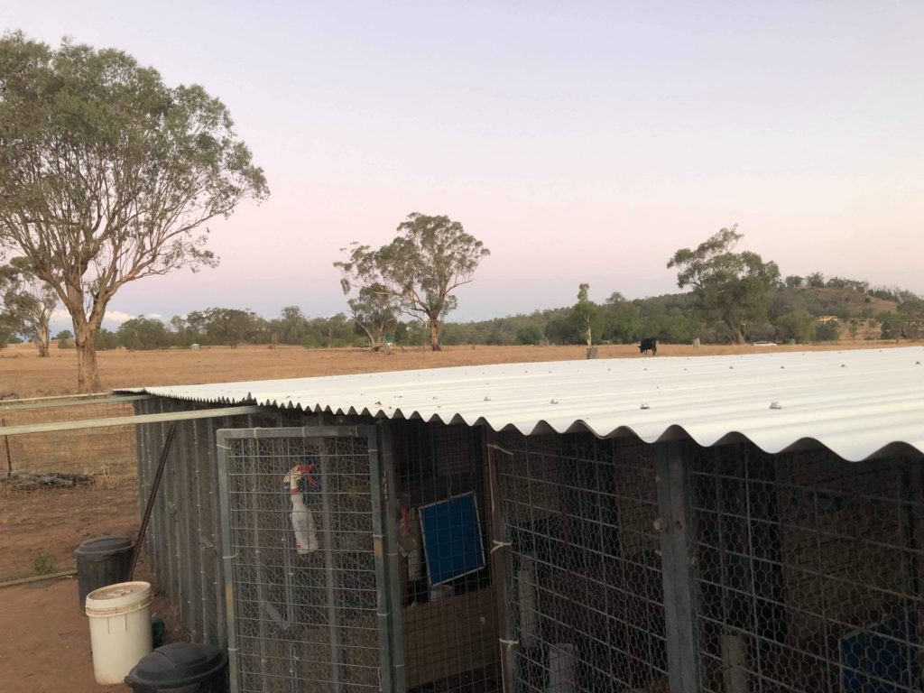 Finally a New Roof on the Breeding Pens - Barastoc Poultry