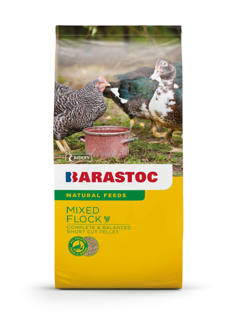 Feeding for Warmth in Winter - Barastoc Poultry
