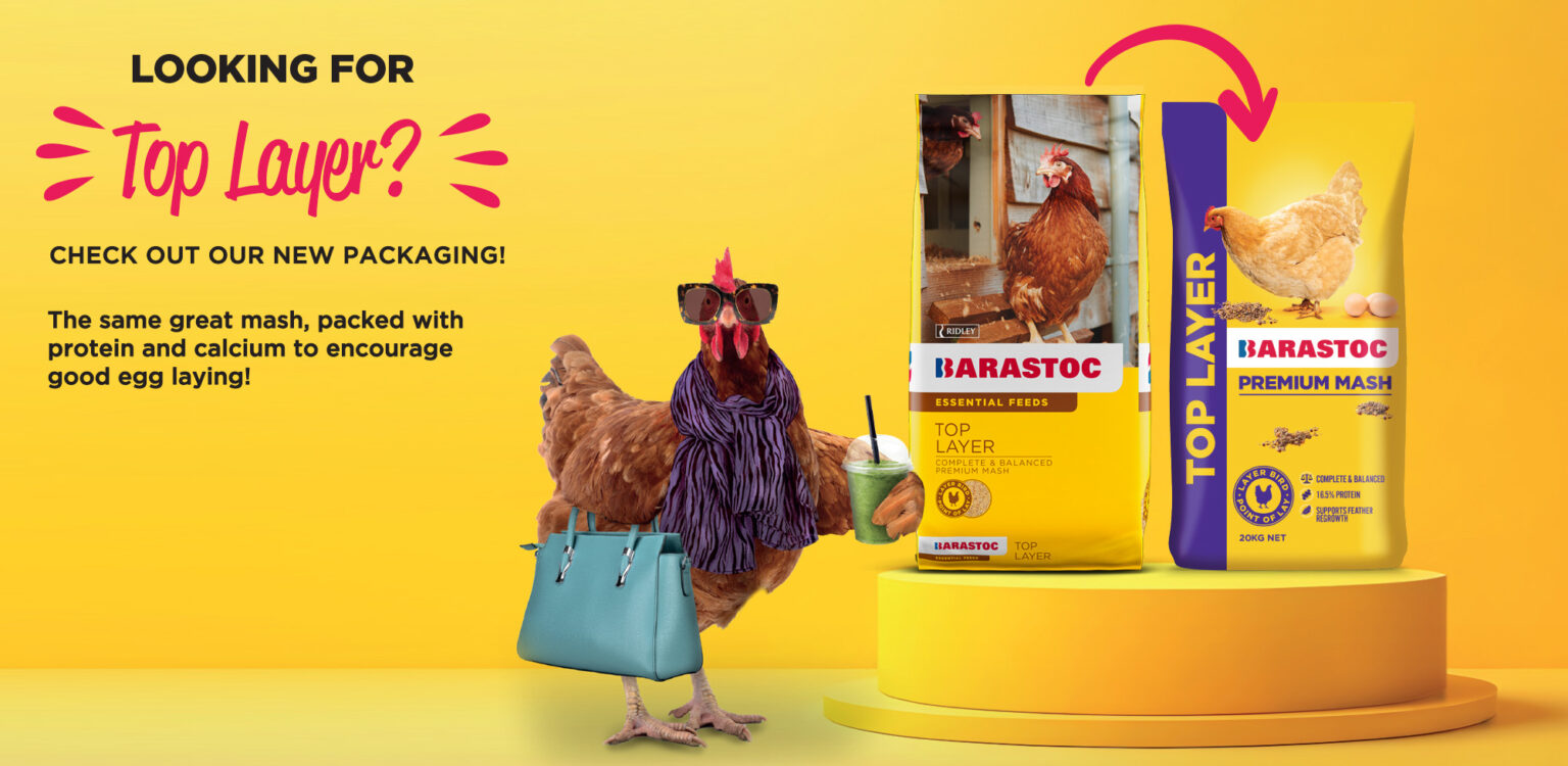 Top Layer - Barastoc Poultry