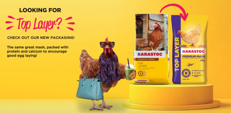 Top Layer - Barastoc Poultry